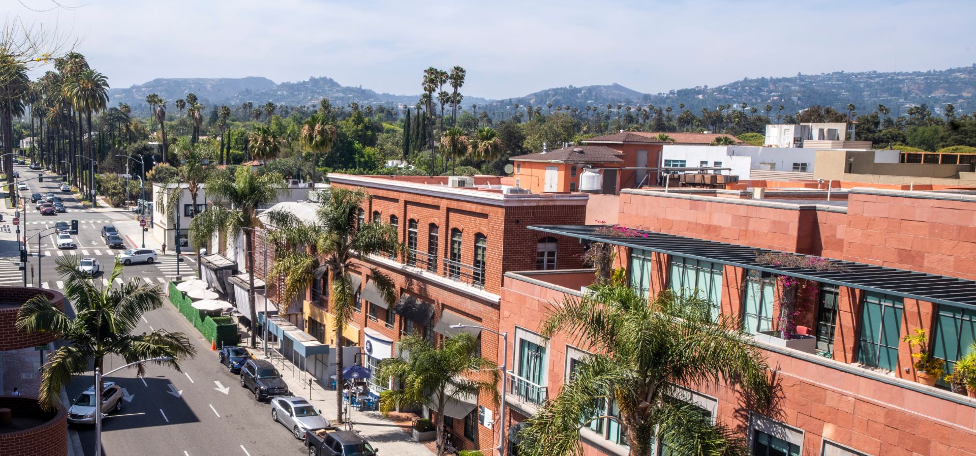 Leading LA Plastic Surgeons | Beverly Hills Profiles